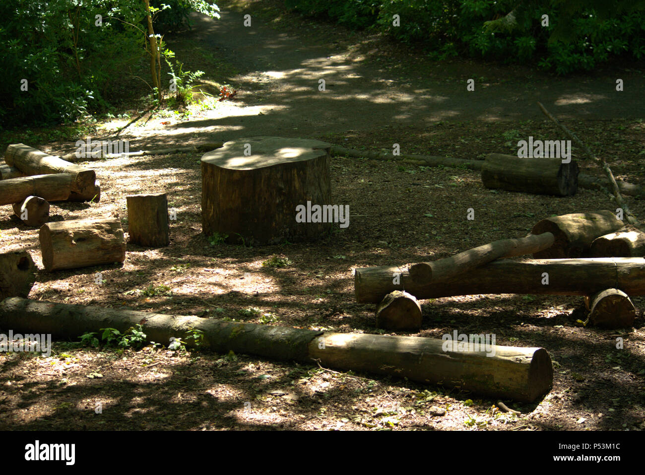 Log Seating High Resolution Stock Photography and Images - Alamy