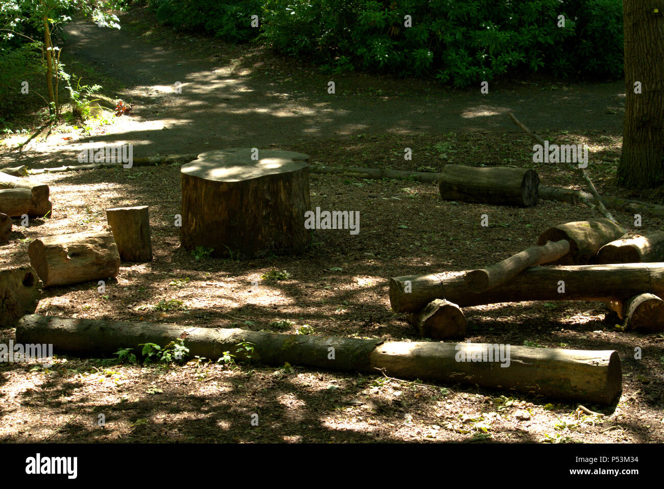 Fallen wood and logs Stock Photo - Alamy