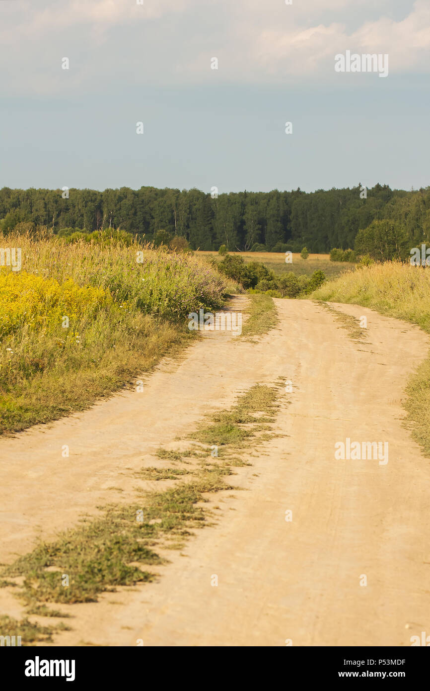 Sunny day road hi-res stock photography and images - Alamy