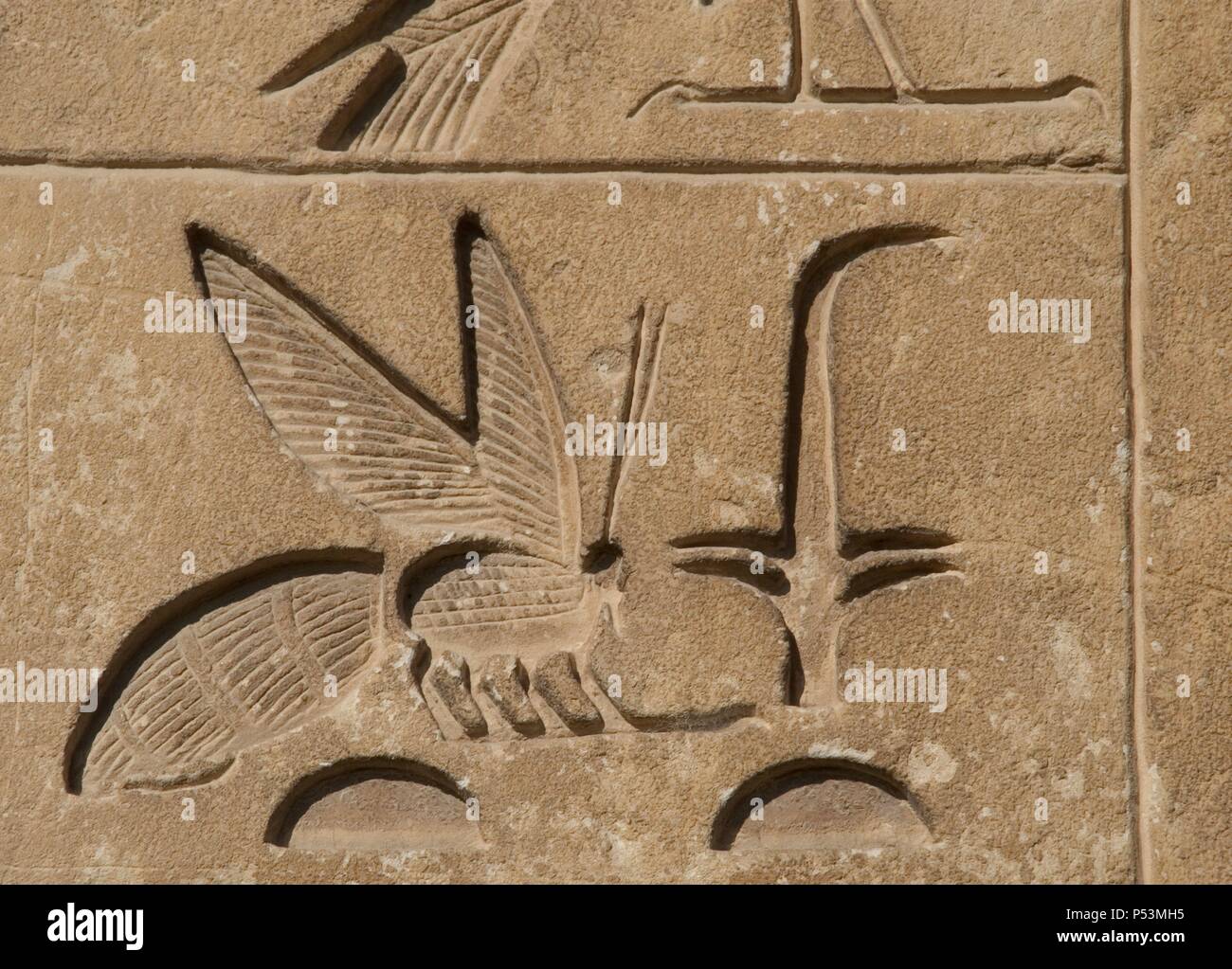 Egypt. Necropolis of Saqqara. Hieroglyphic writing. Relief depicting ...