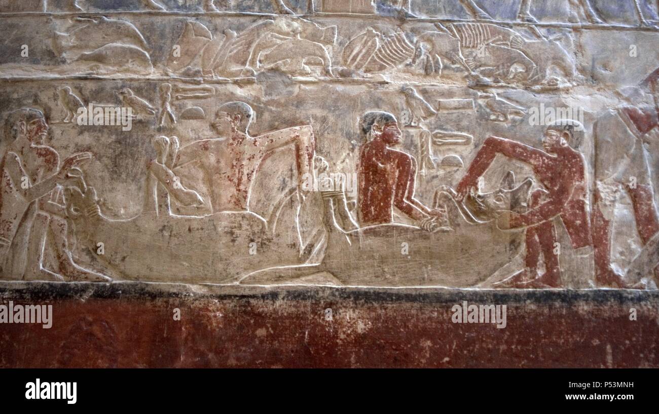 Egypt. Necropolis of Saqqara. Mastaba of Mereruka, priest of Pharaoh ...