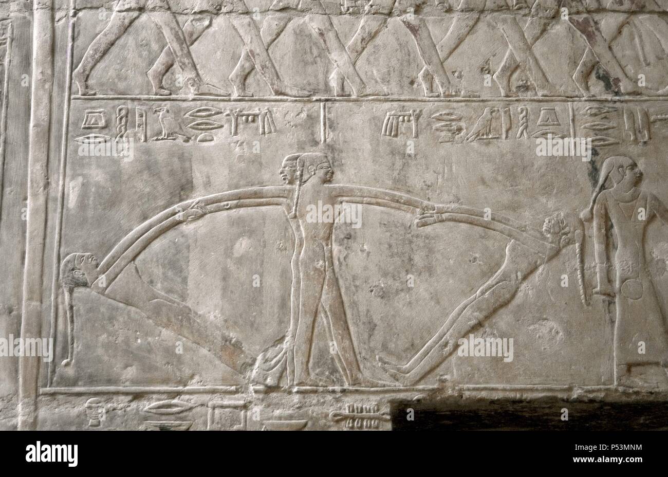 Egypt. Necropolis of Saqqara. Mastaba of Mereruka, priest of Pharaoh ...