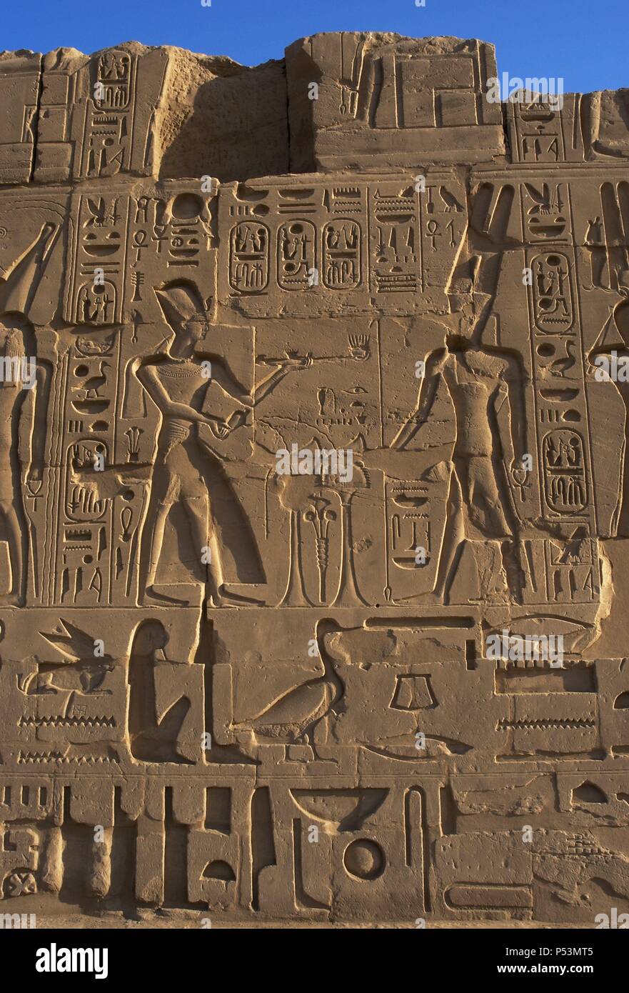 Ramesses wearing the blue crown hi-res stock photography and images - Alamy