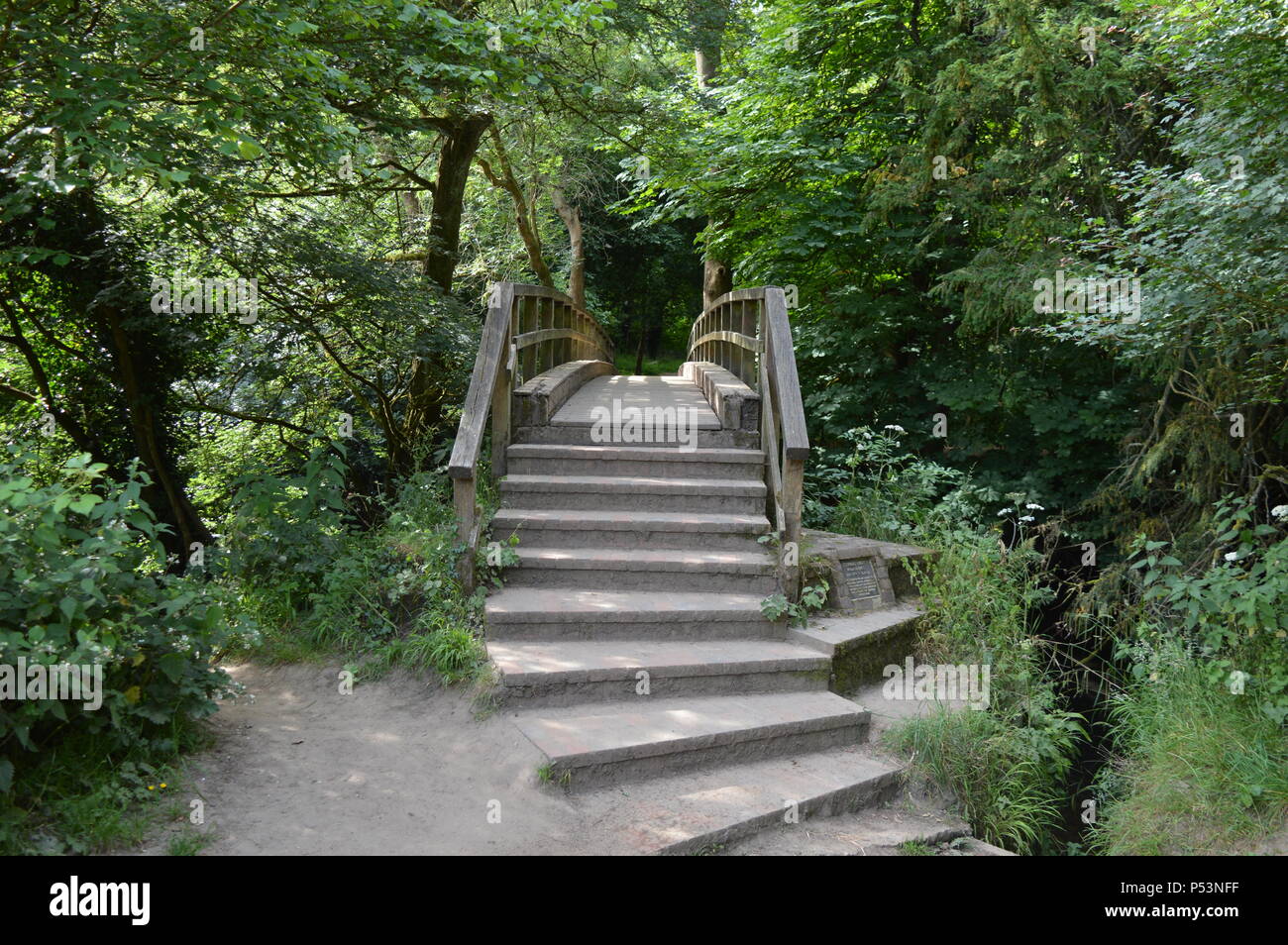 Boxhill steps hi-res stock photography and images - Alamy