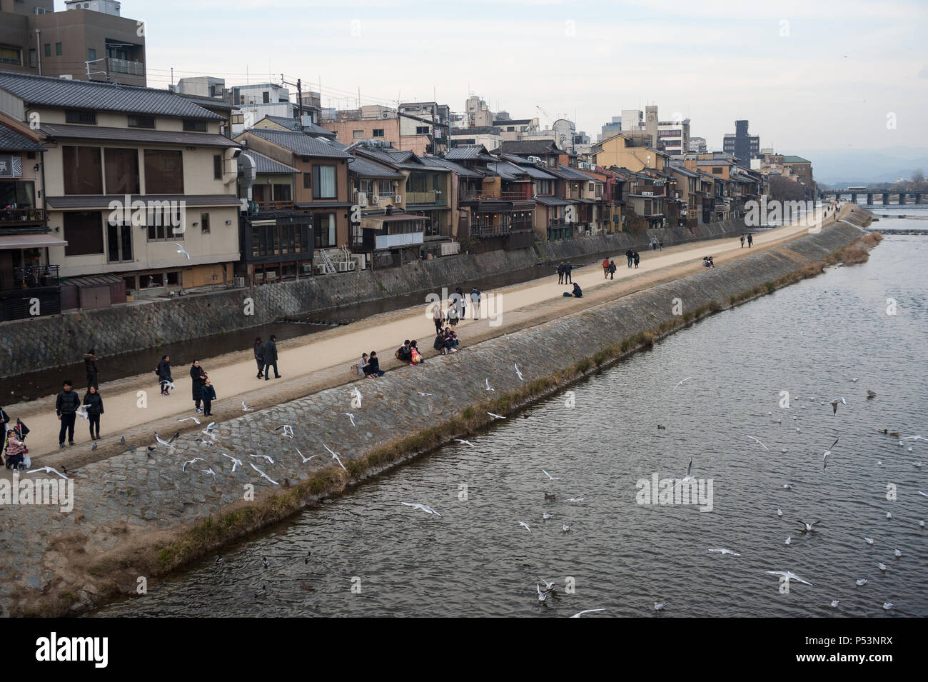 Kyoto, Japan, city view with Kamo river Stock Photo - Alamy