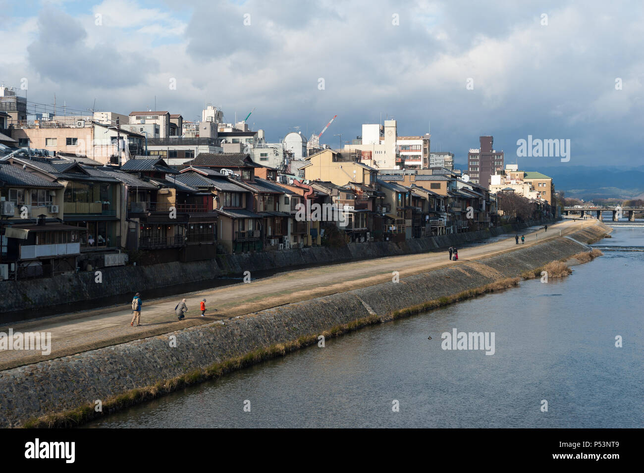 Kamo kamo hi-res stock photography and images - Alamy