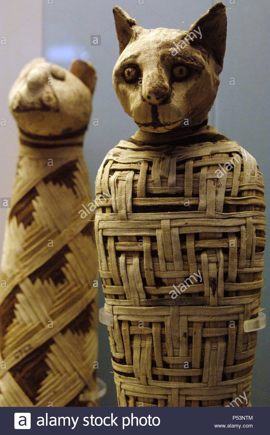 Ancient Egyptian Cat Mummy Stock Photos & Ancient Egyptian Cat Mummy ...