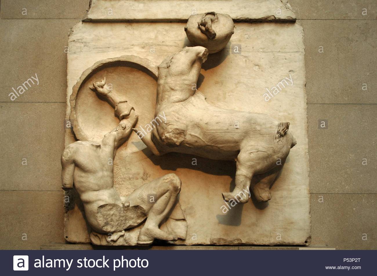 Parthenon Frieze Centaur Stock Photos & Parthenon Frieze Centaur Stock ...