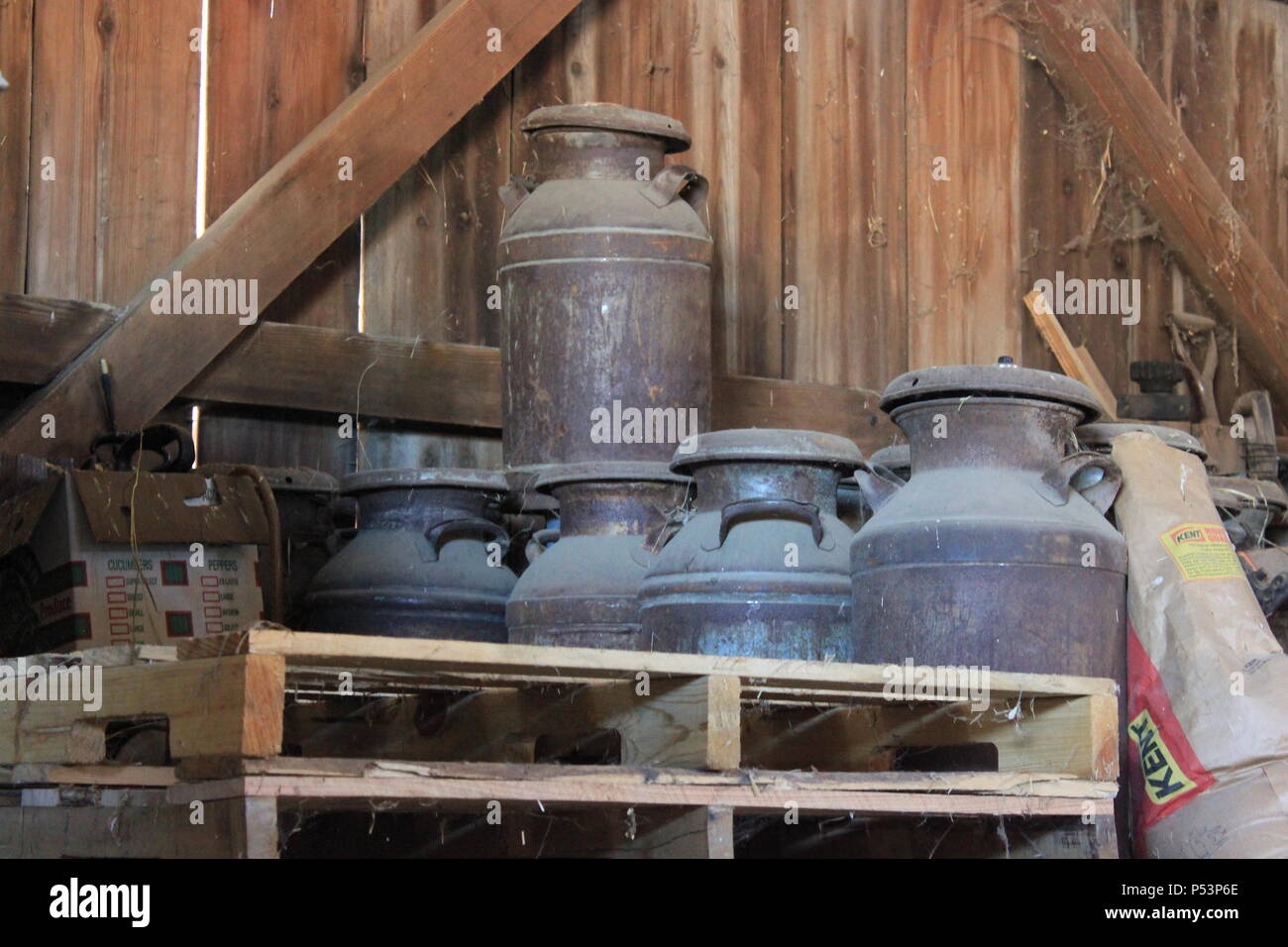 Vintage milking equipment stored in the old barn Stock Photo - Alamy