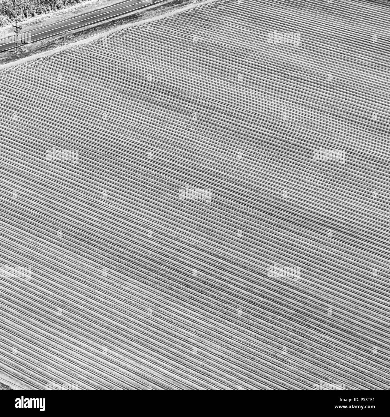 texture in australia field of colutivation from the high Stock Photo ...