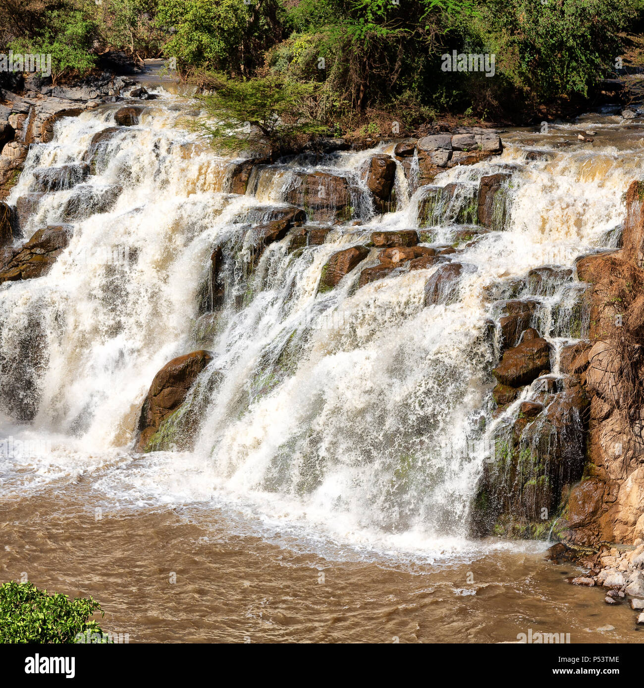 in ethiopia africa the awash national park and the falls nature wild ...