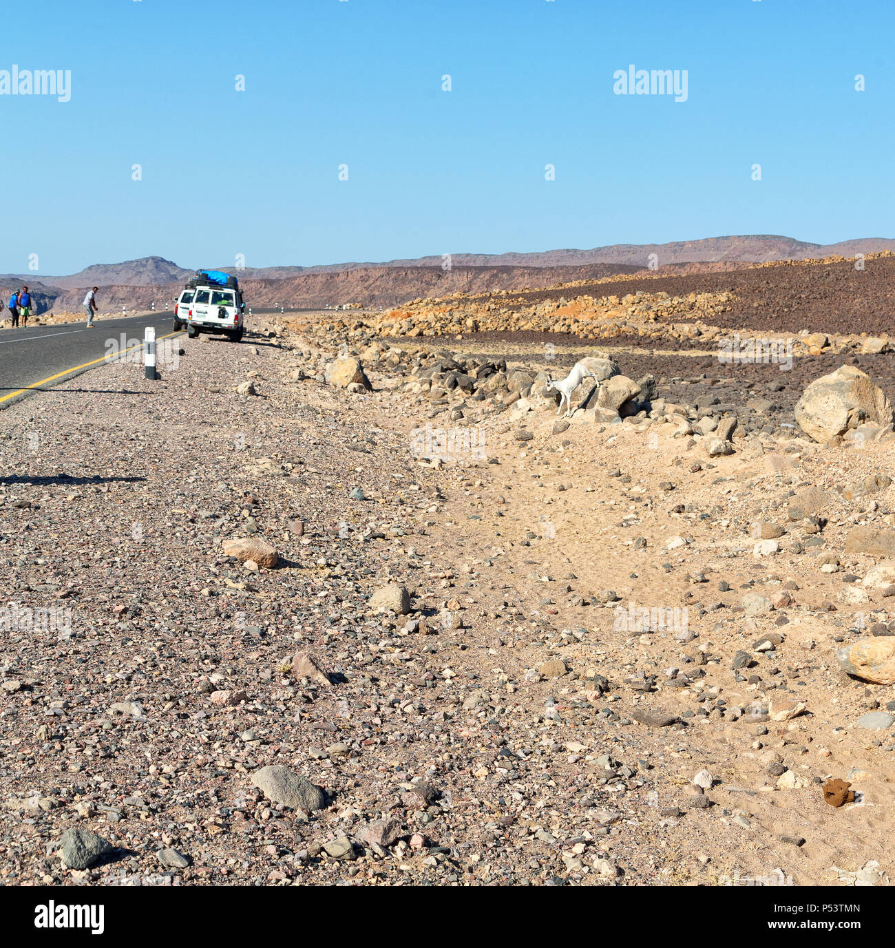 in danakil ethiopia africa in the land of afar the rock desert and the ...