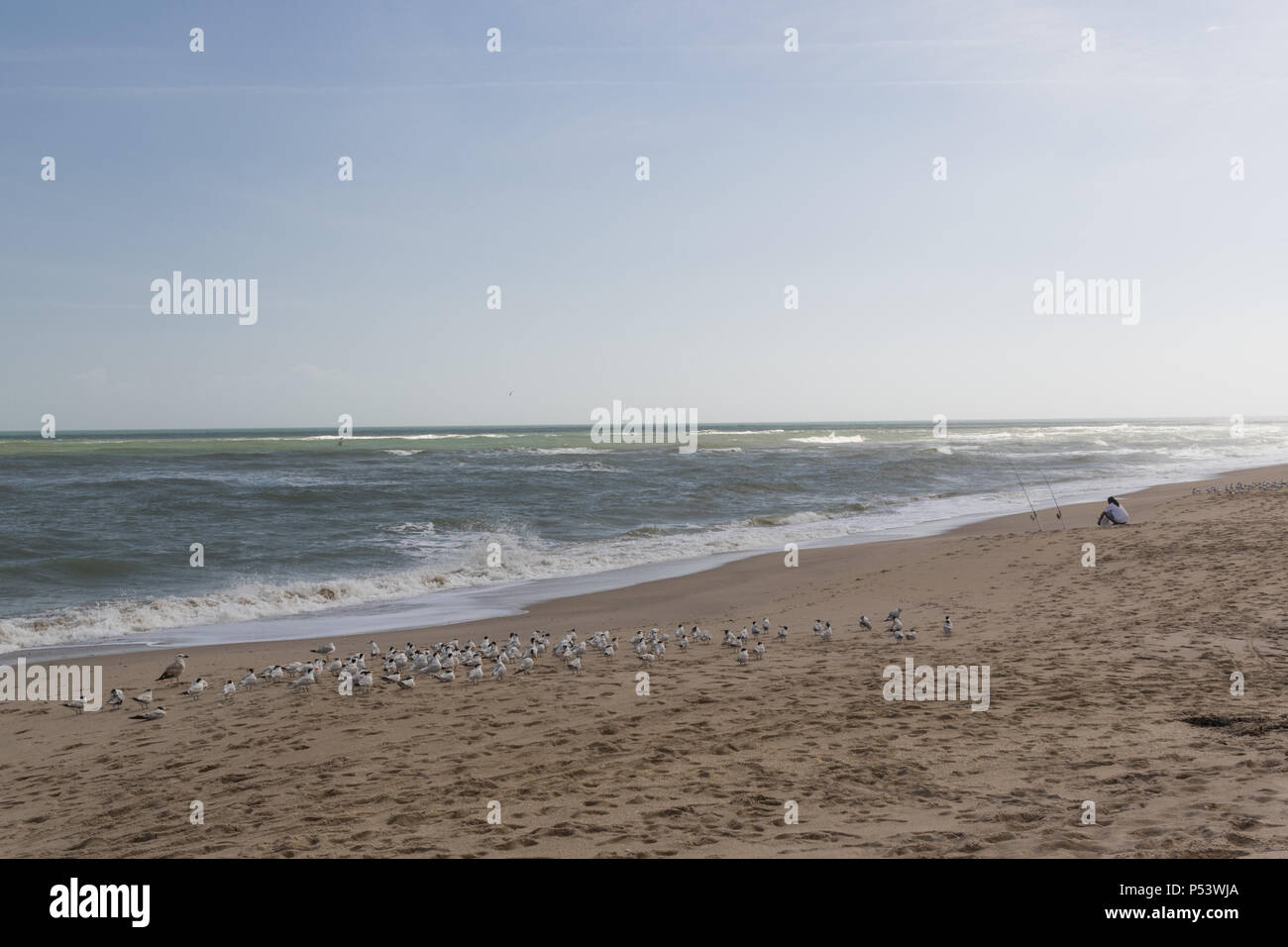 Florida highlights hi-res stock photography and images - Alamy