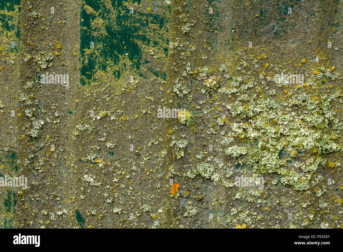 Sheet metal with traces of green Moss in Detail as Background Stock ...