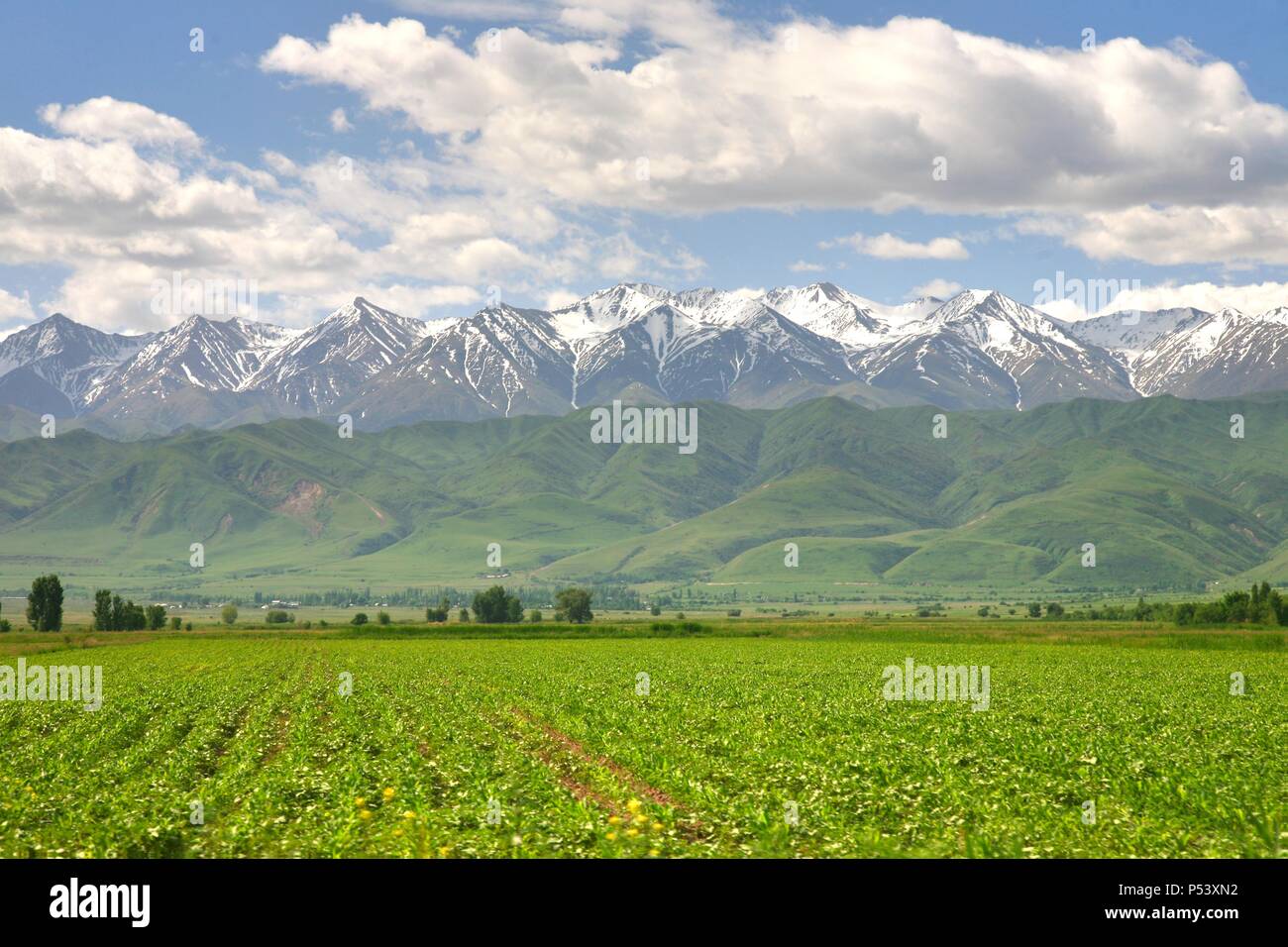 Tian Shan Mountains