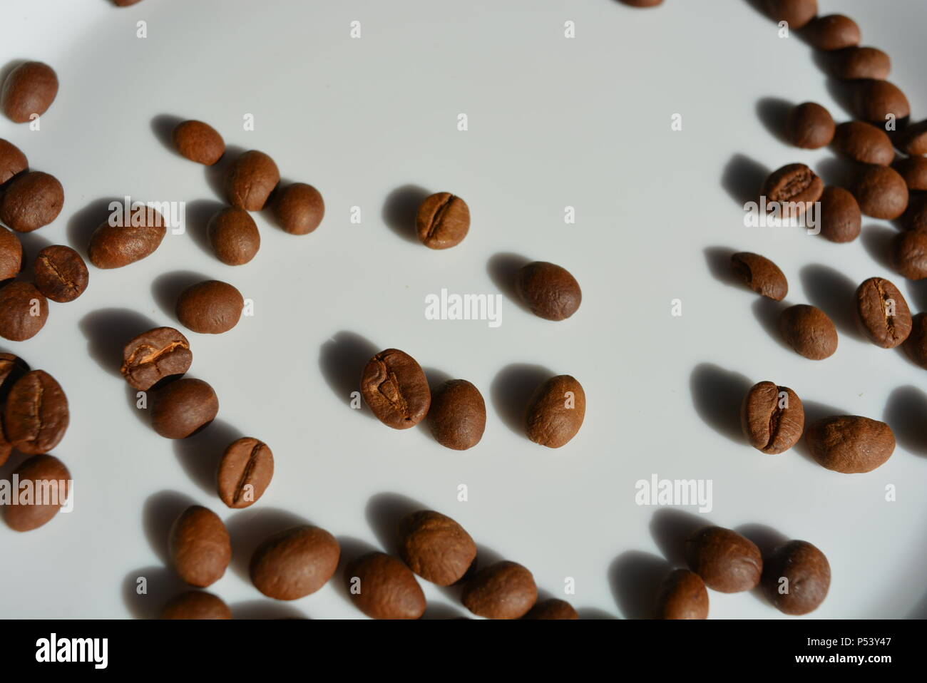 Beautiful brown coffee beans, abika beans, rabusta beans arranged on a ...
