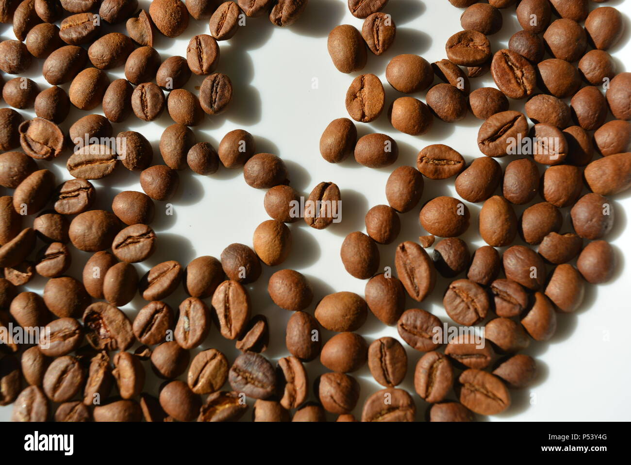 Beautiful brown coffee beans, abika beans, rabusta beans arranged on a ...