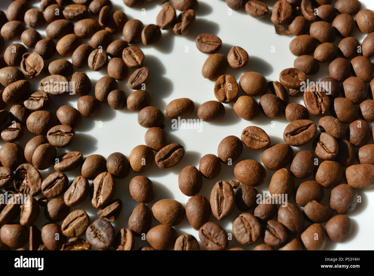 Beautiful brown coffee beans, abika beans, rabusta beans arranged on a ...
