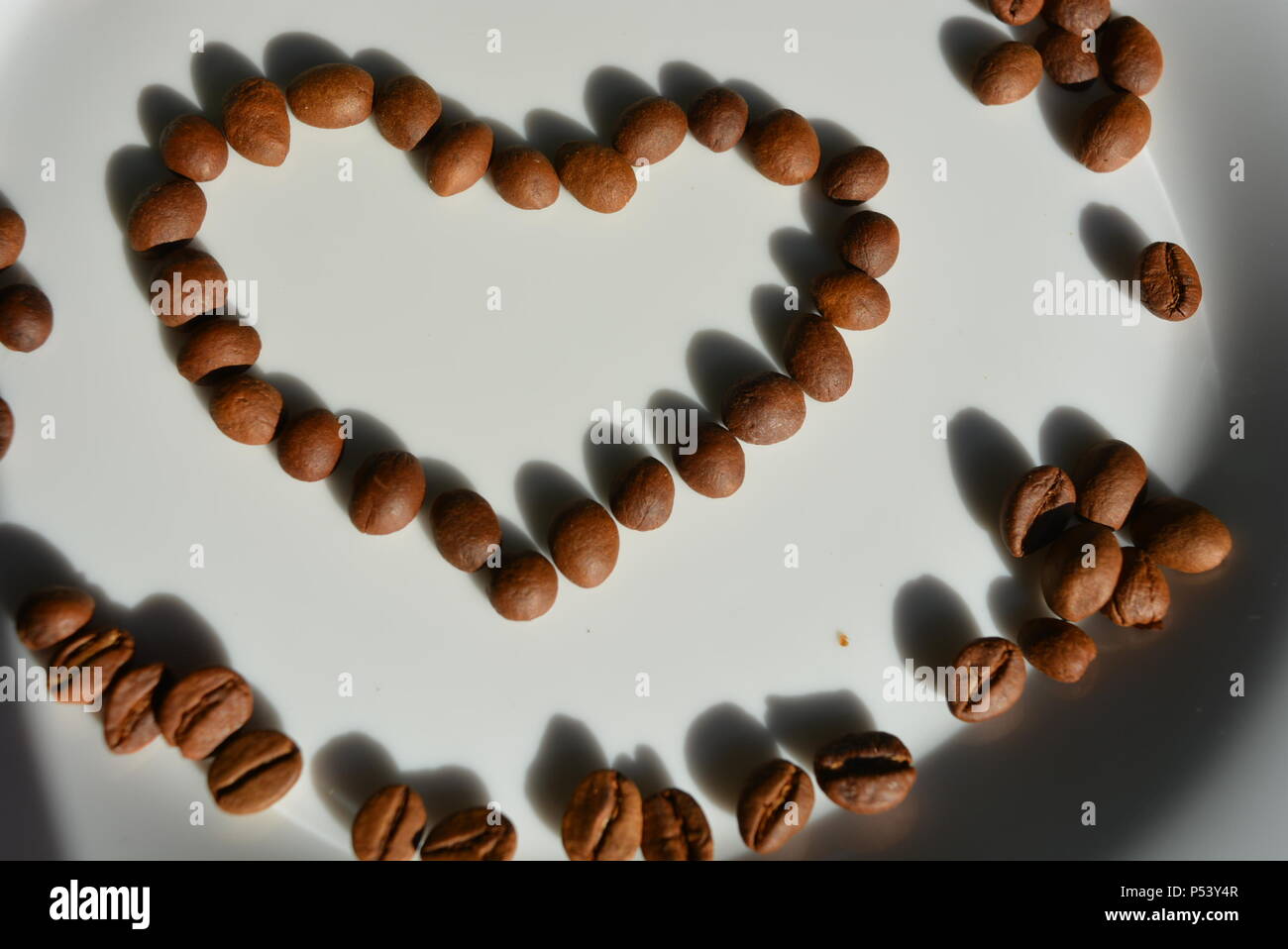 Beautiful brown coffee beans, abika beans, rabusta beans arranged on a ...