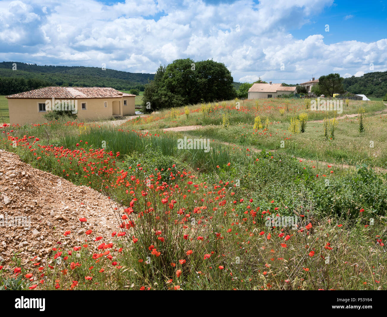 Rural flower field old house hi-res stock photography and images - Alamy