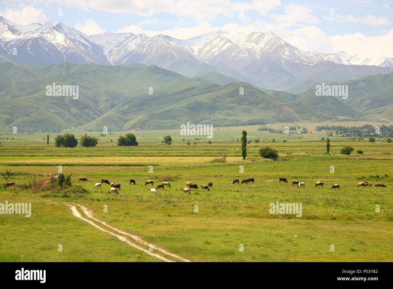 The beautiful scenic in Bishkek with the Tian Shan mountains of ...