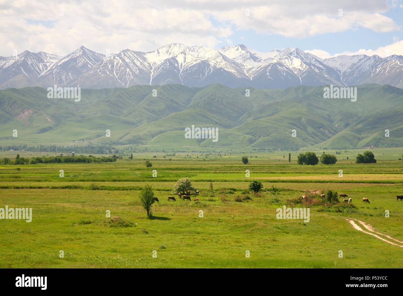 The beautiful scenic in Bishkek with the Tian Shan mountains of ...