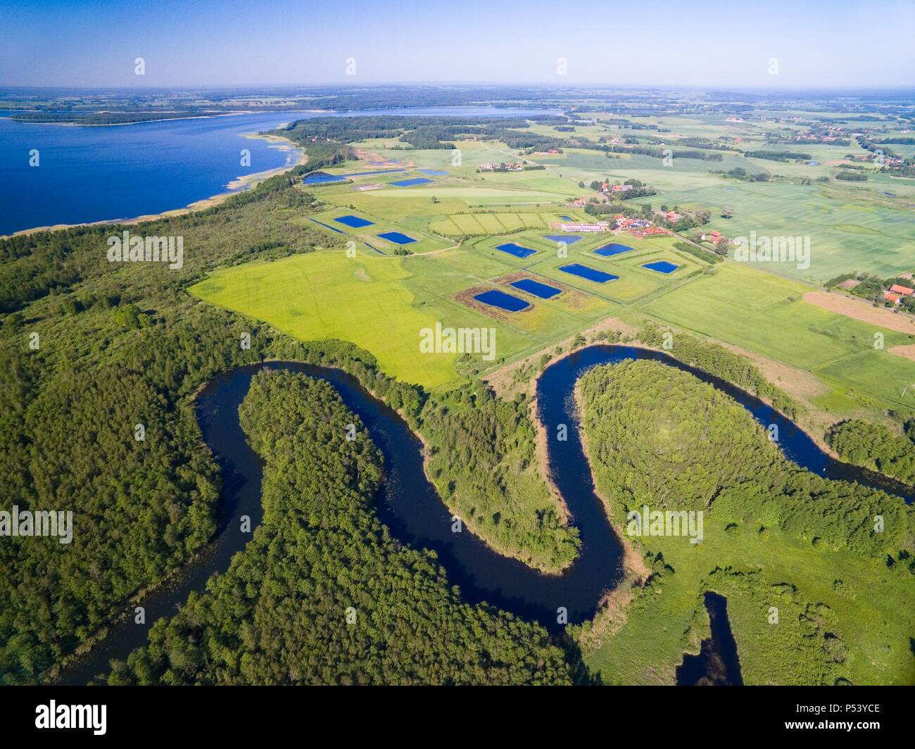 Meander of Wegorapa river flowing across wetlands, Mazury, Poland ...
