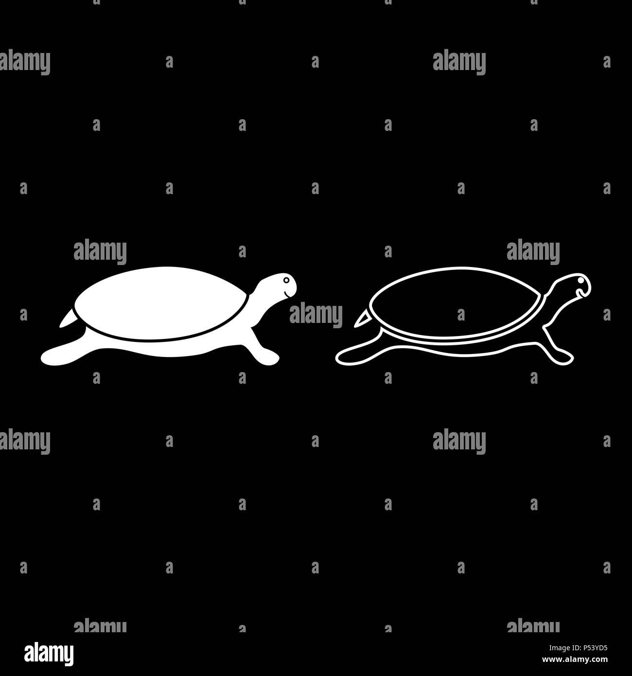Tortoise turtle icon set white color vector I flat style simple image ... Tortoise turtle icon set white color vector I flat style simple image ...