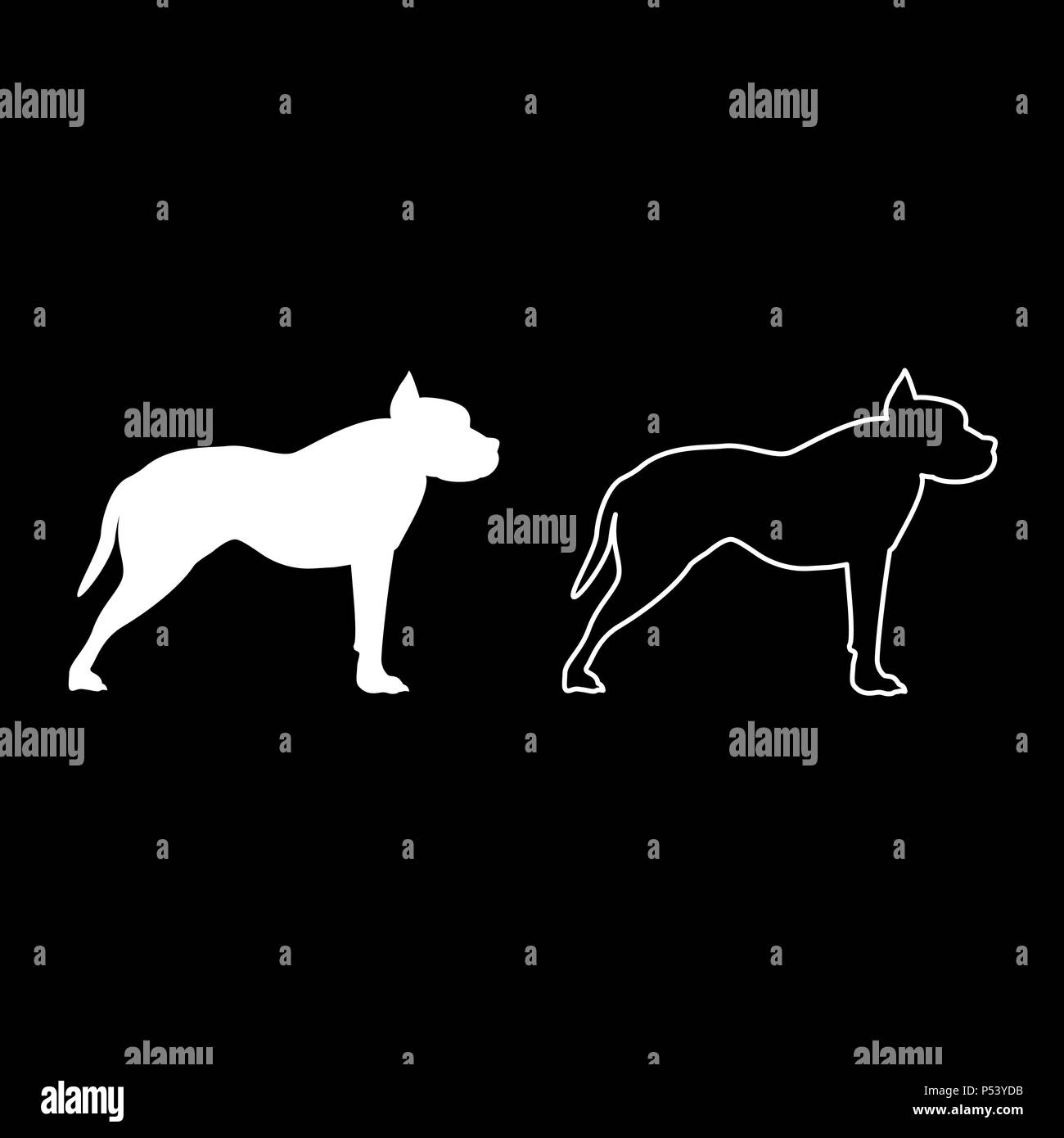 Pit bull terrier icon set white color vector I flat style simple image ...