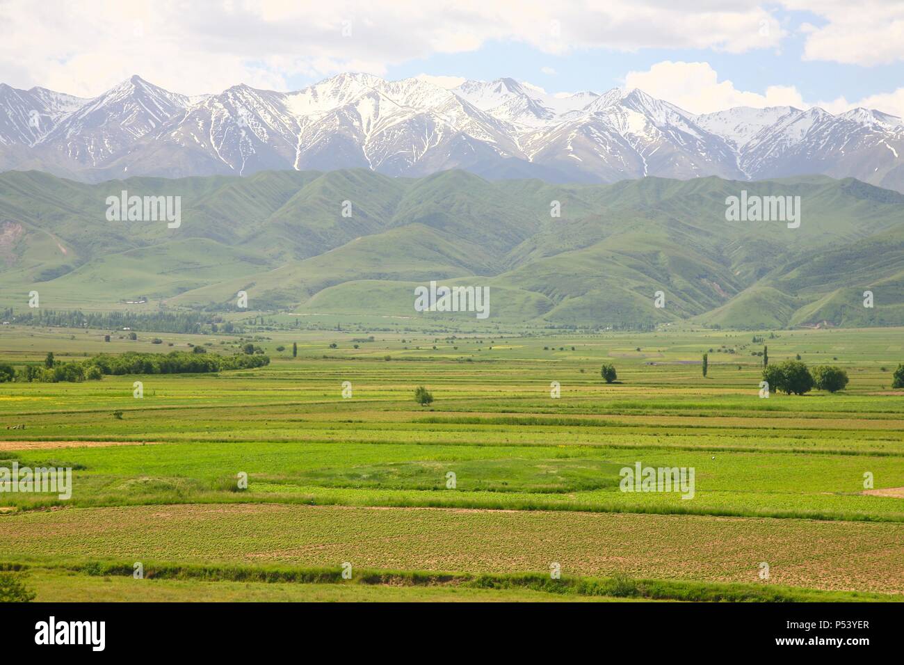 The beautiful scenic in Bishkek with the Tian Shan mountains of ...