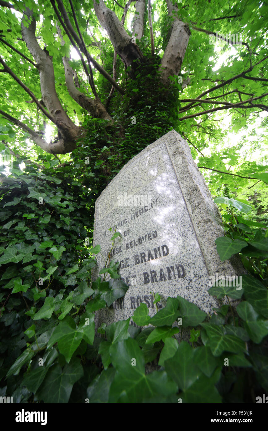 Graveyard surrounded by tree hi-res stock photography and images - Alamy