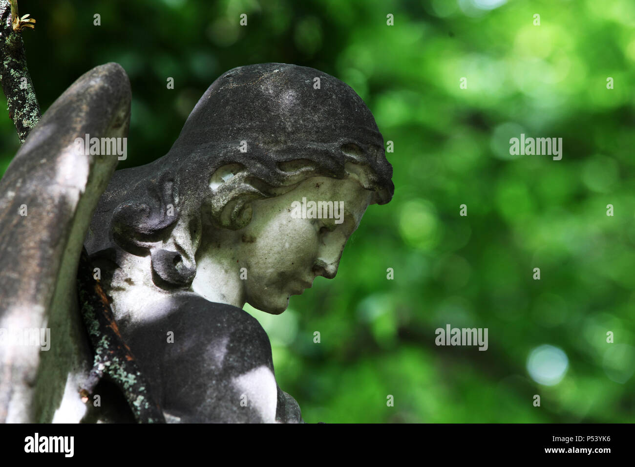 The serene face of an angel on a gravestone statue in the grounds of ...