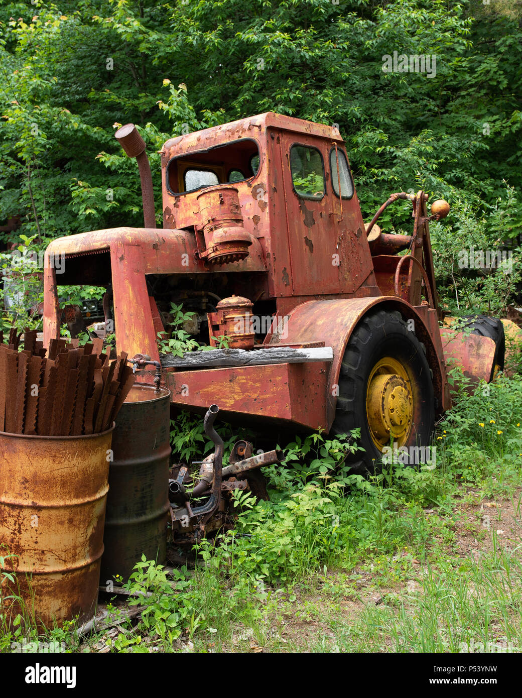 An old orange loader abandoned in the forest Adirondack Mountains, NY ...