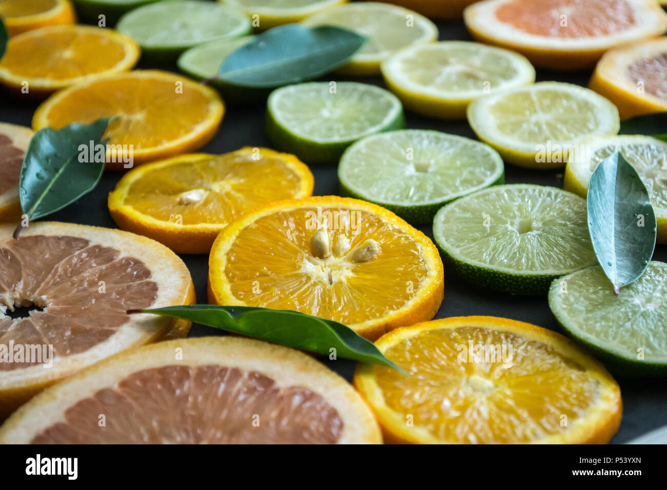Sliced rounds of various citrus fruit arranged in a pattern. Closeup ...