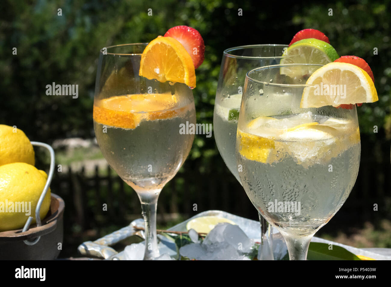 Refresh your thirst in style-sparkling water garnished with fresh fruit ...