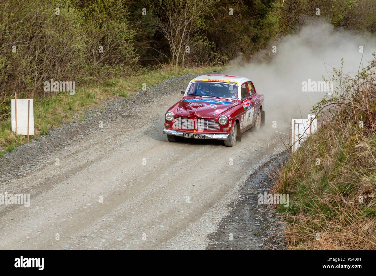 A Volvo Amazon rally car taking a corner on the Plains Rally in North ...