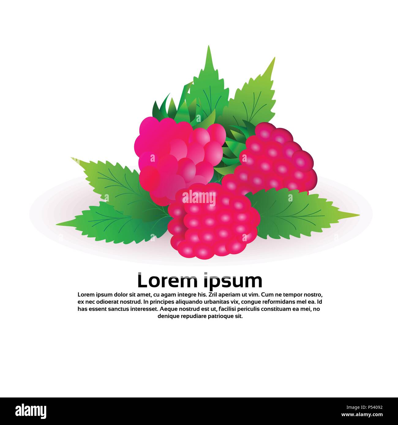 raspberries fruit on white background, healthy lifestyle or diet ...