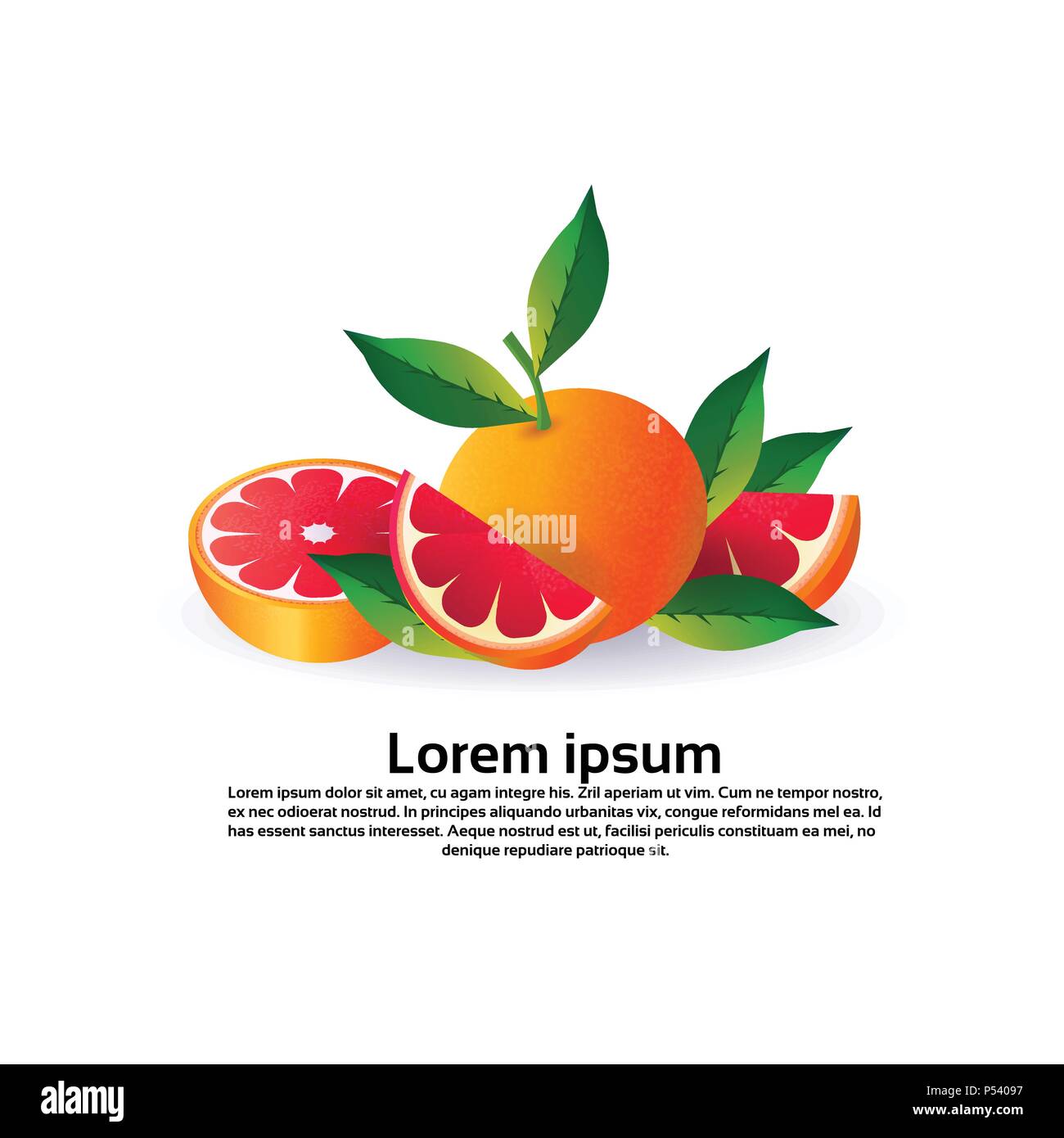 Fruits copy space Stock Vector Images - Alamy