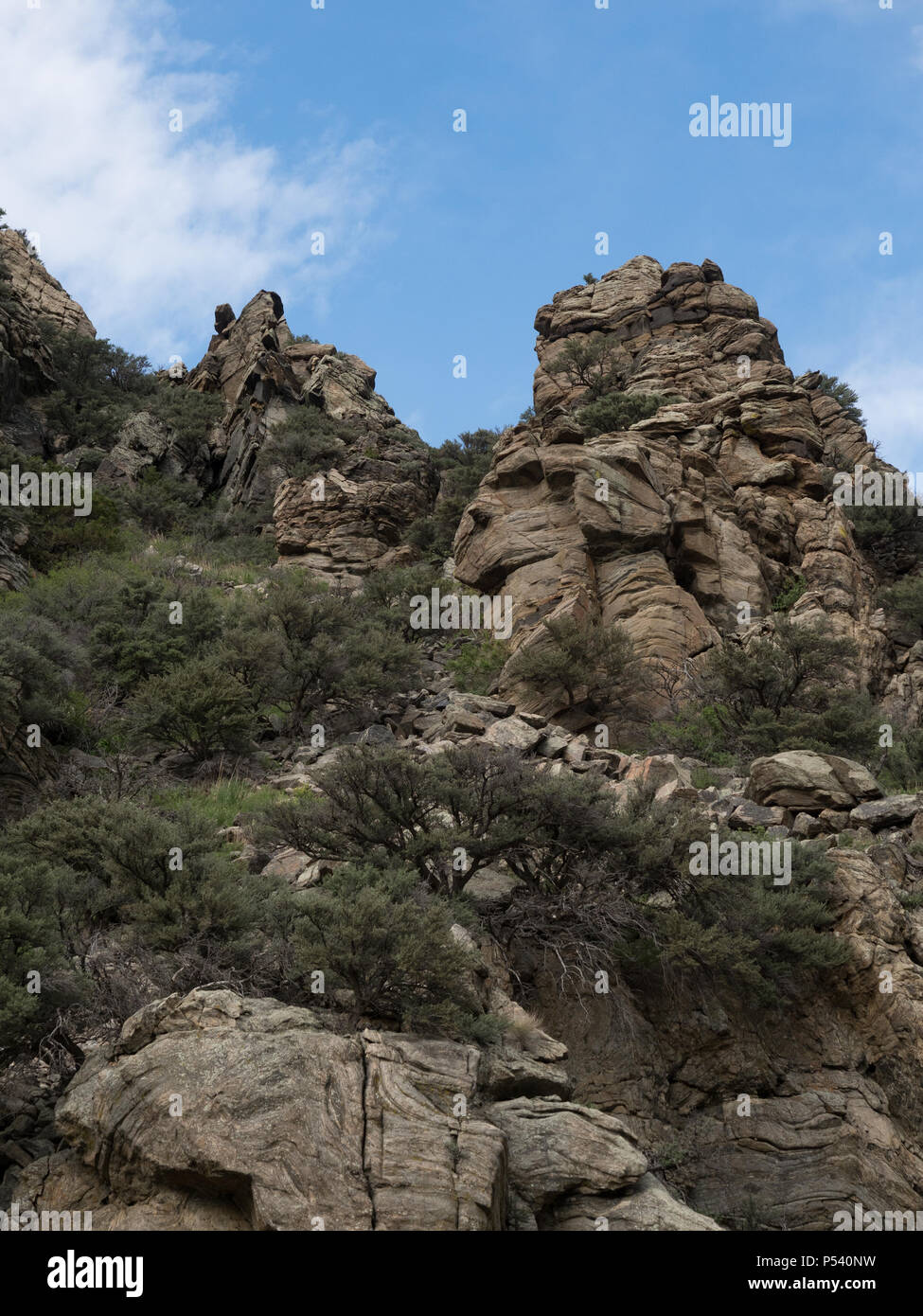 Three billion year old craggy, metamorphic rocks, evergreen shrubs and ...