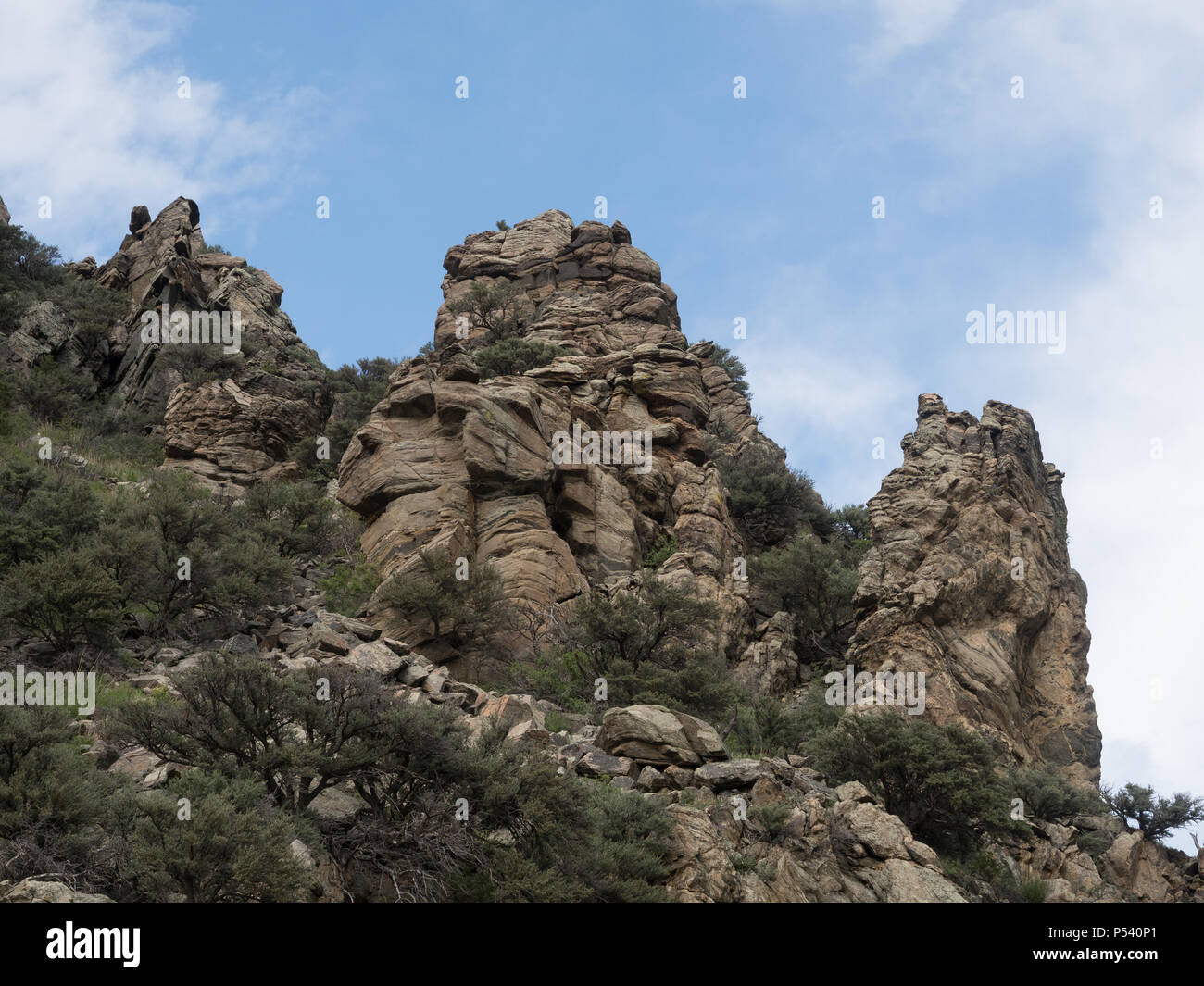 Three billion year old craggy, metamorphic rocks, evergreen shrubs and ...