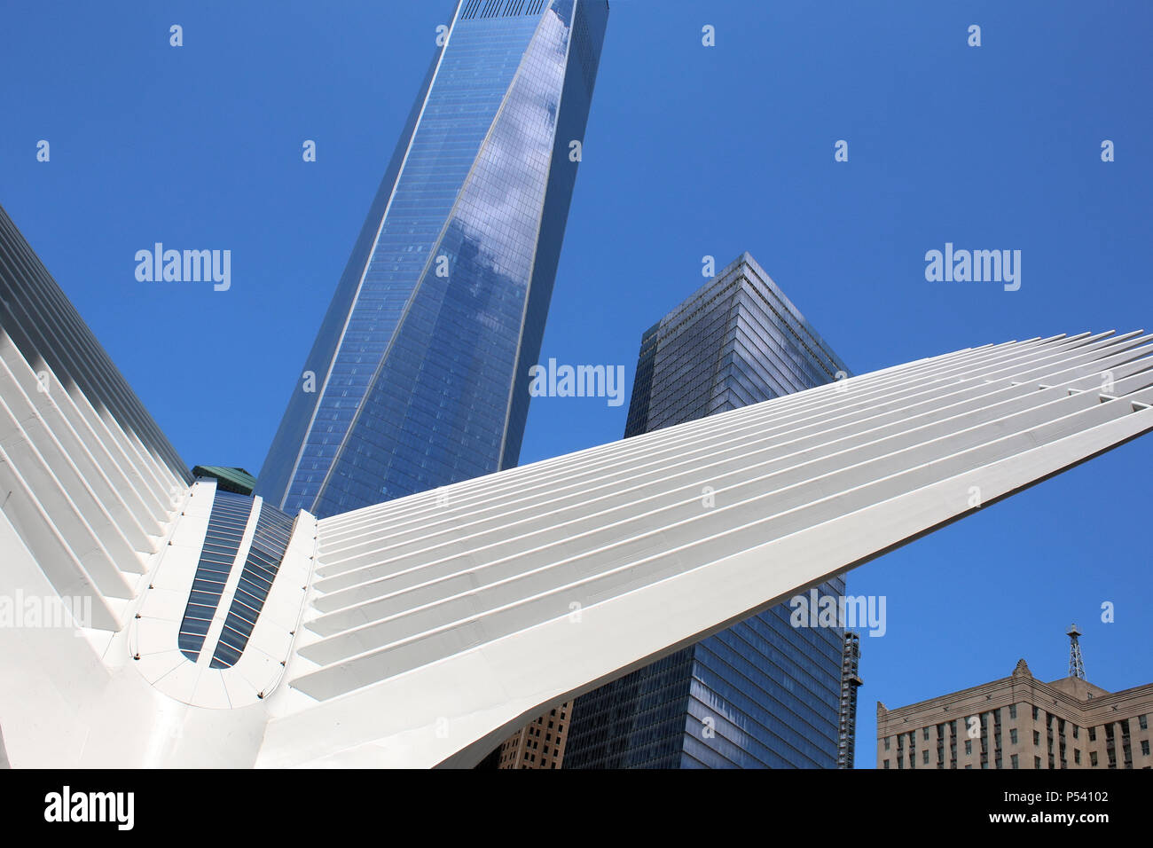 Rib structure hi-res stock photography and images - Alamy