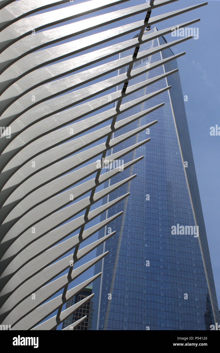 NEW YORK, NY - JUNE 29: Calatrava's Oculus exterior steel rib structure ...