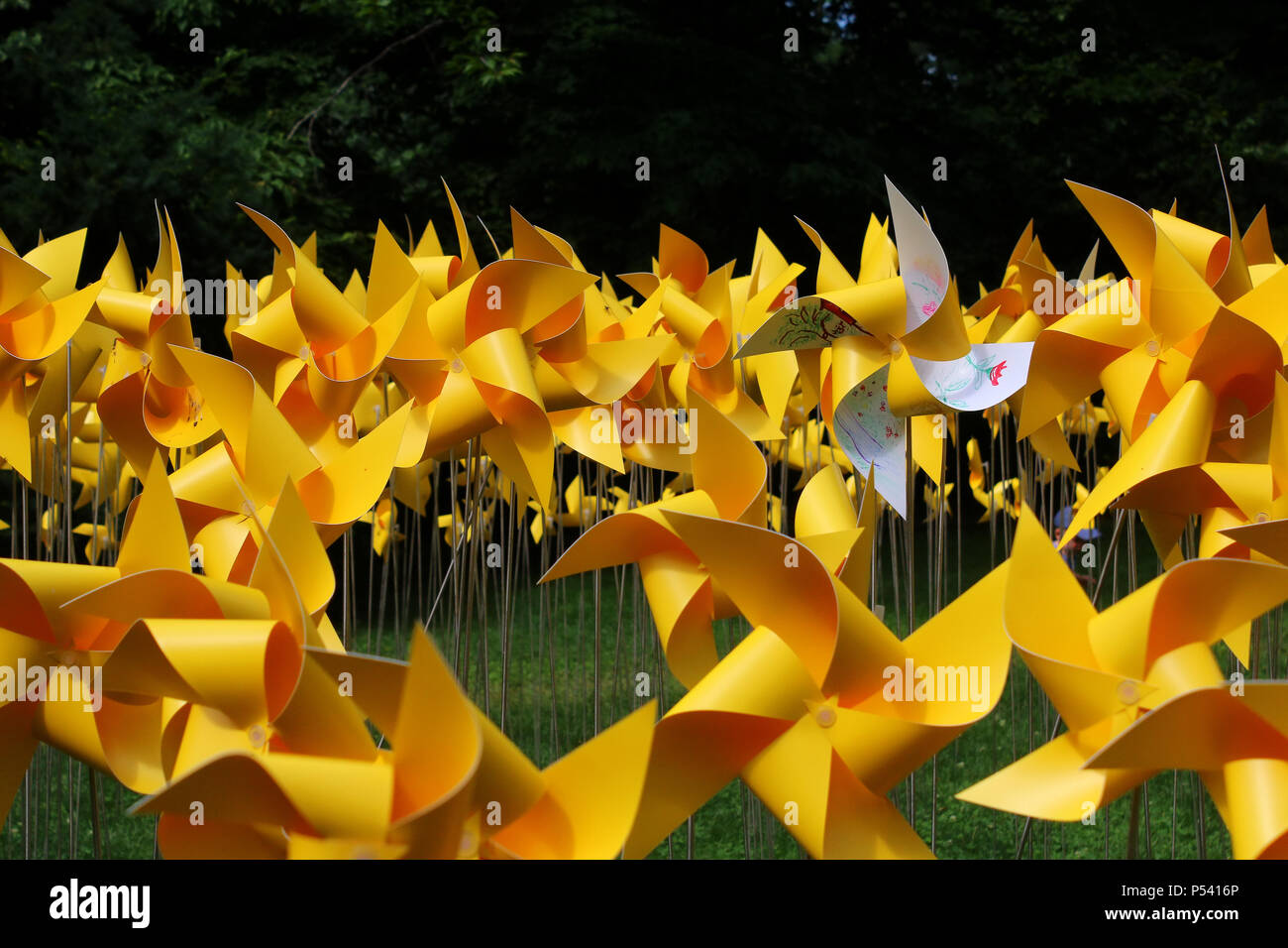 NEW YORK, NY - JULY 10: Yellow pinwheels placed in Prospect Park's Rose ...