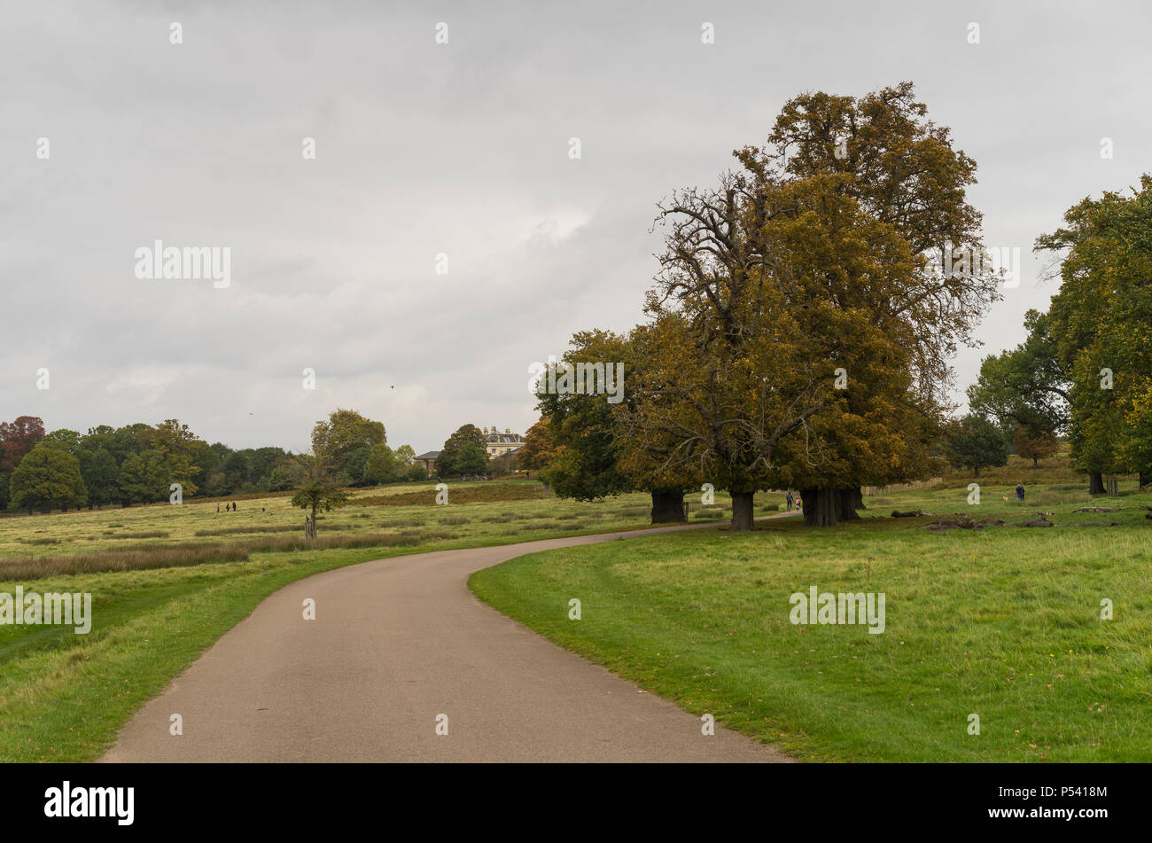 Richmond Park, Great Britain, October 14 2017, Beautiful nature and ...