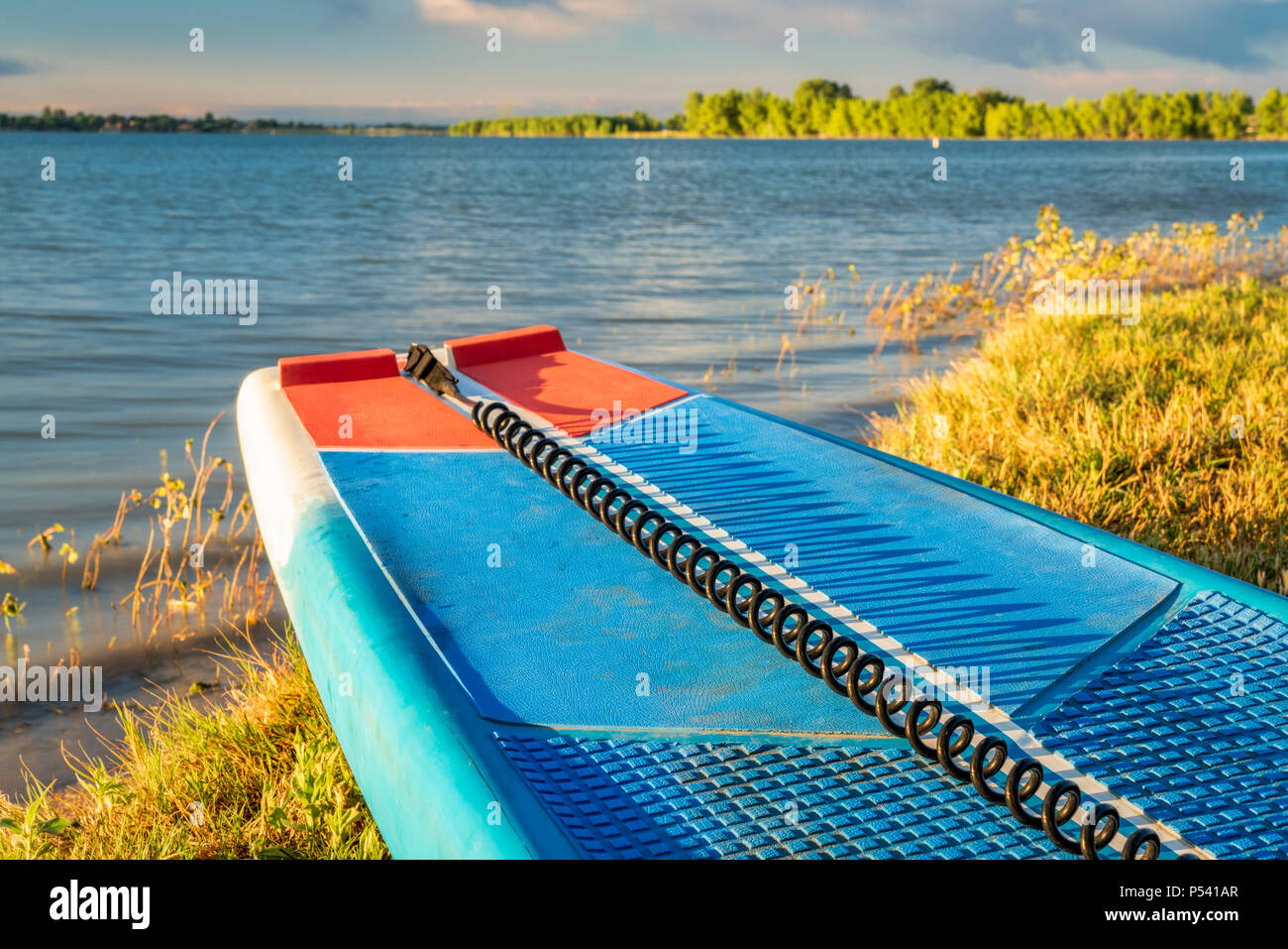 stand up paddleboard with a safety leash on a lake shore in Colorado ...