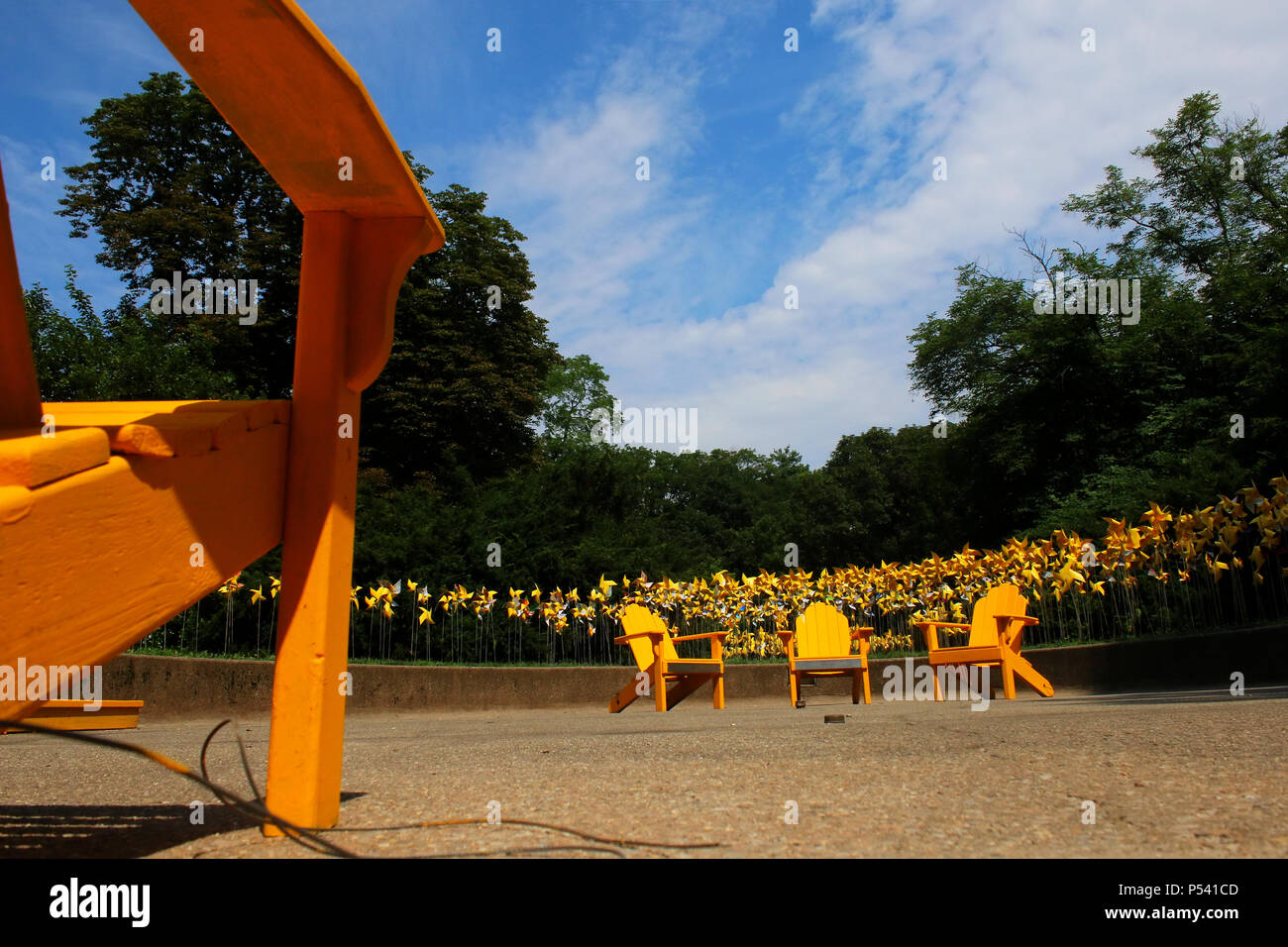 NEW YORK, NY - JULY 10: Yellow pinwheels placed in Prospect Park's Rose ...