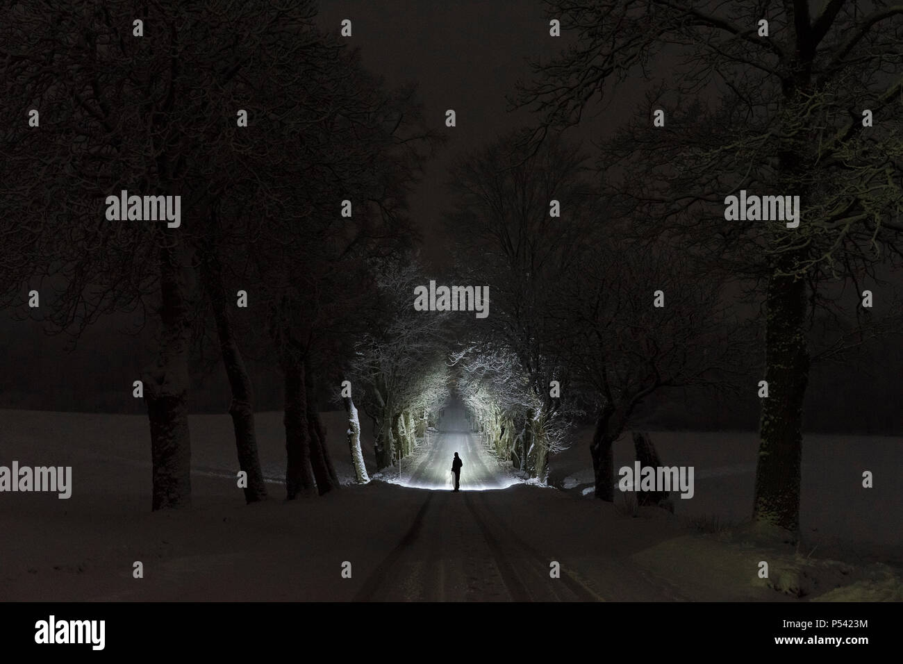Human shining with flashlight at night in Sweden Scandinavia Europe ...
