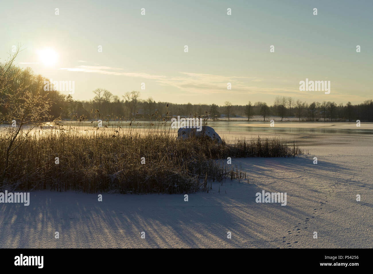 Beautiful nature and landscape photo of cold winter evening in Sweden ...