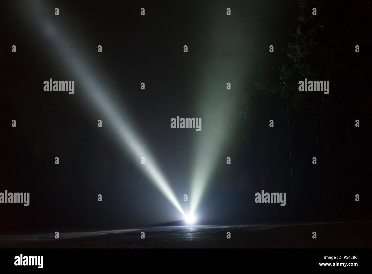 Human shining with flashlight at night in Sweden Scandinavia Europe ...