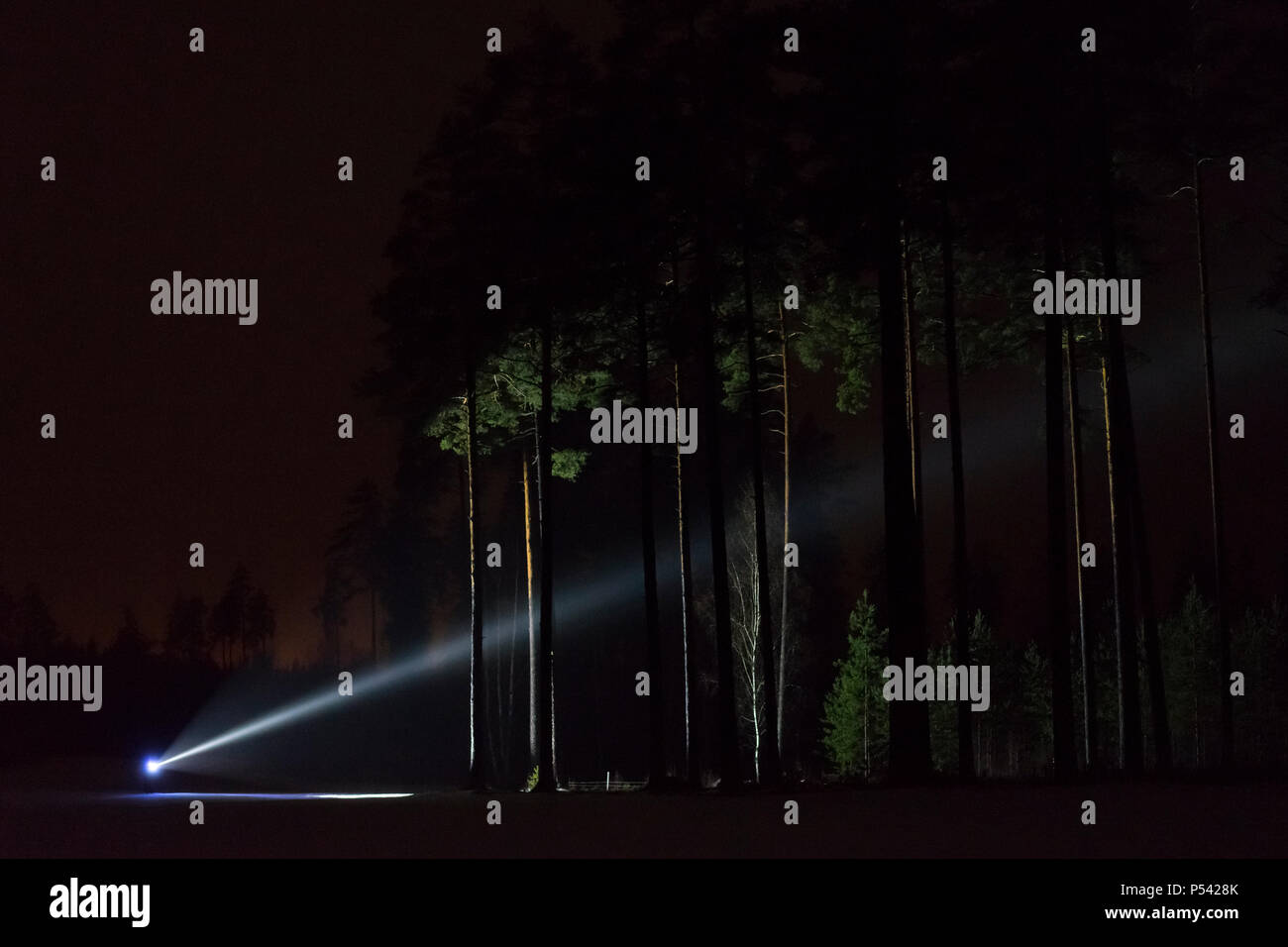 Human shining with flashlight at night in Sweden Scandinavia Europe ...